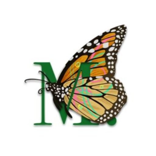 Blog - Mariposa Multilingual Montessori